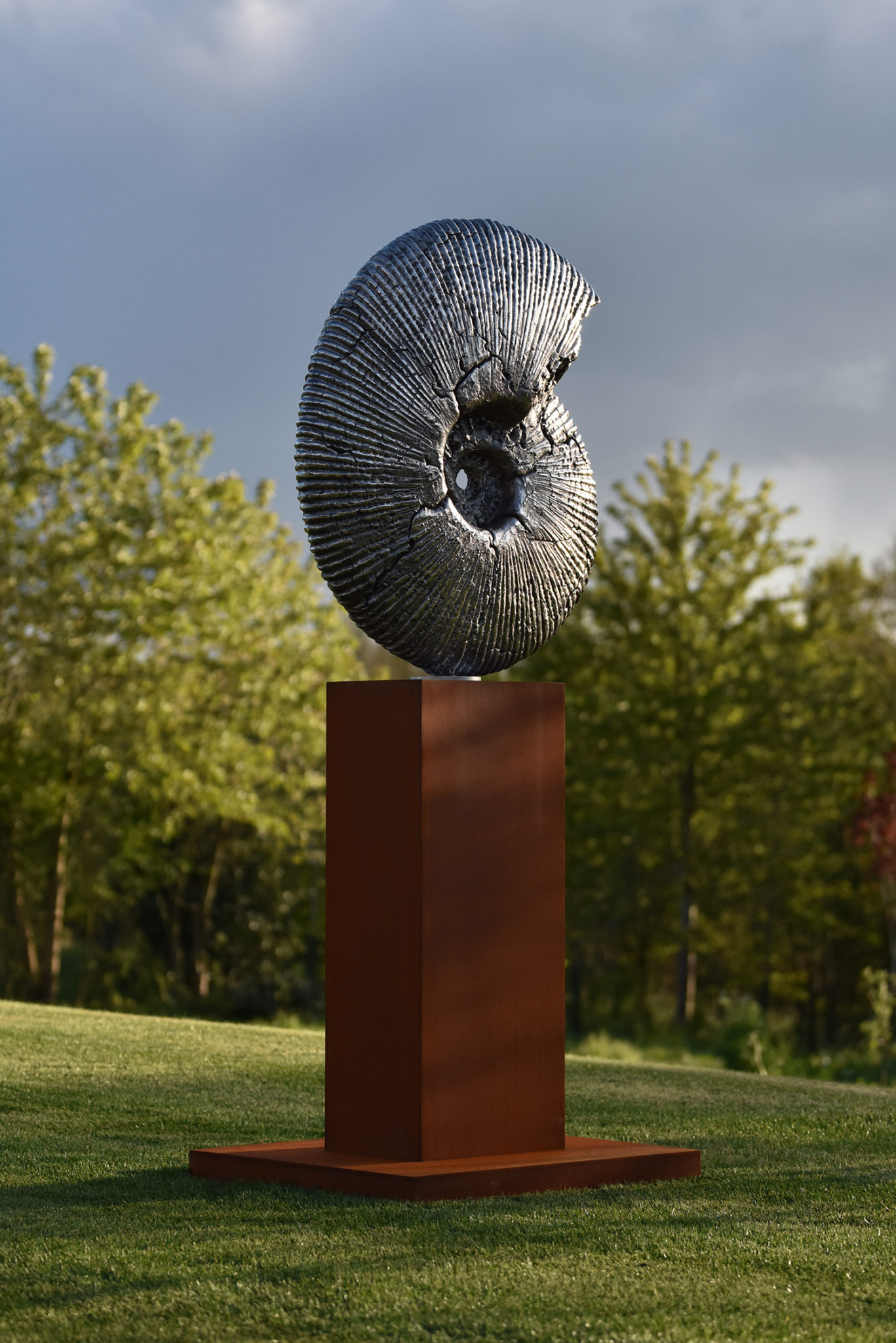 Stainless Steel Ammonite Jurassic sculpture by Hamish Mackie