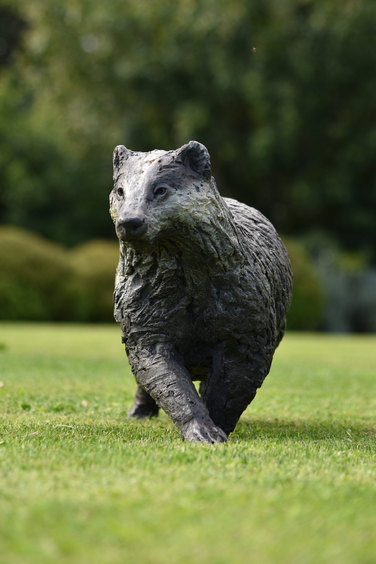 Bronze Badger sculpture by Hamish Mackie