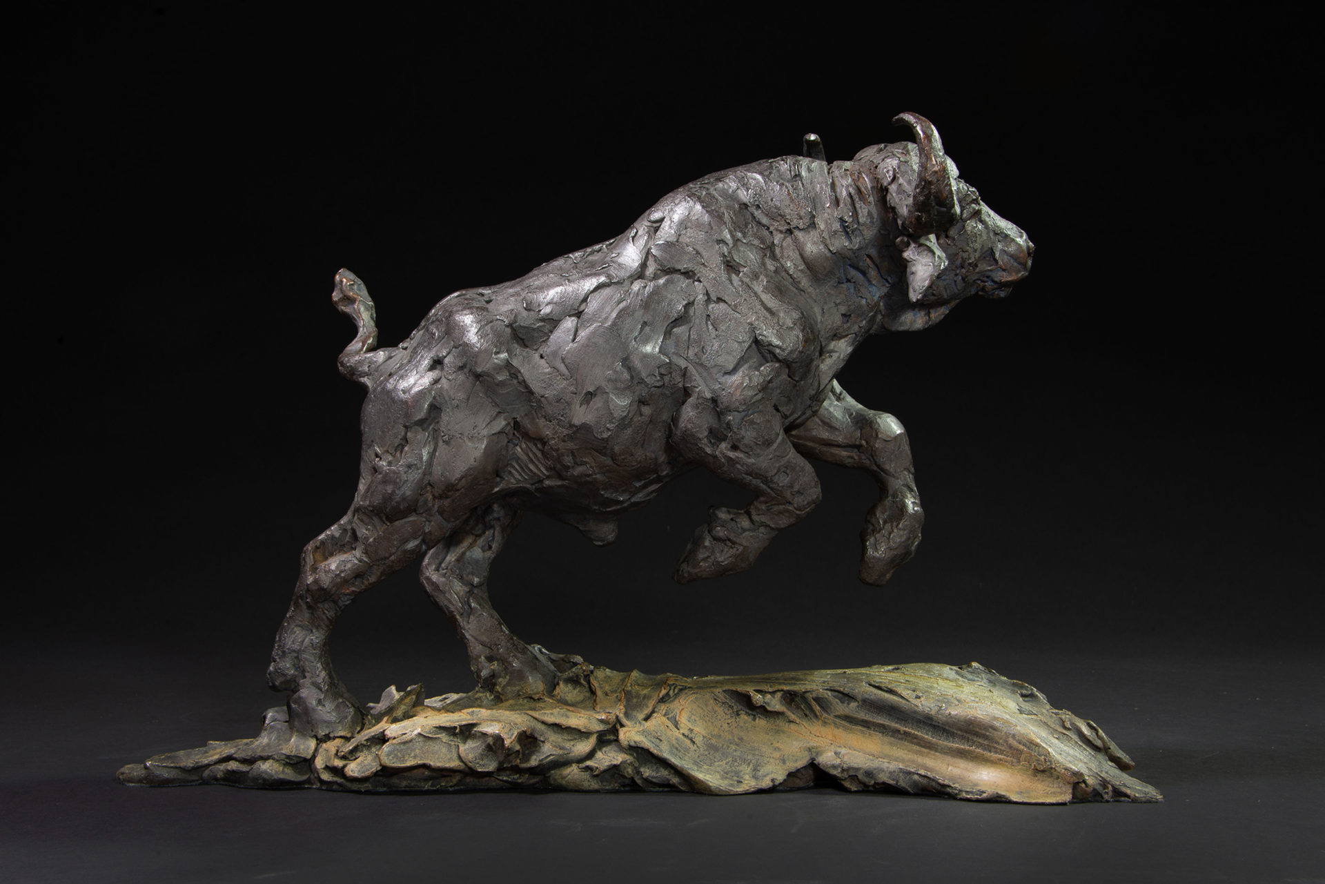 Hamish Mackie's bronze sculpture of a Cape Buffalo