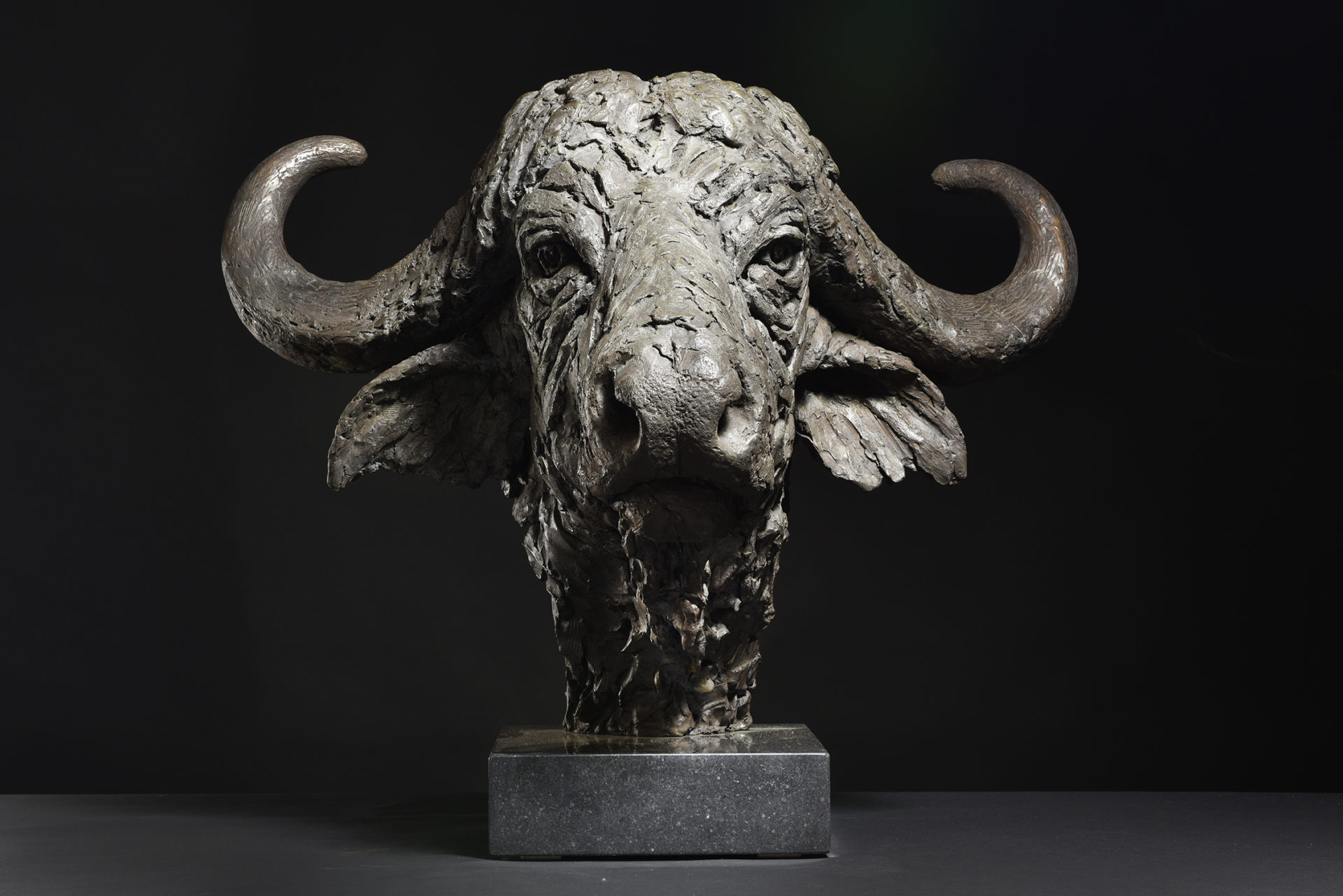 Cape Buffalo Head sculpture by Hamish Mackie