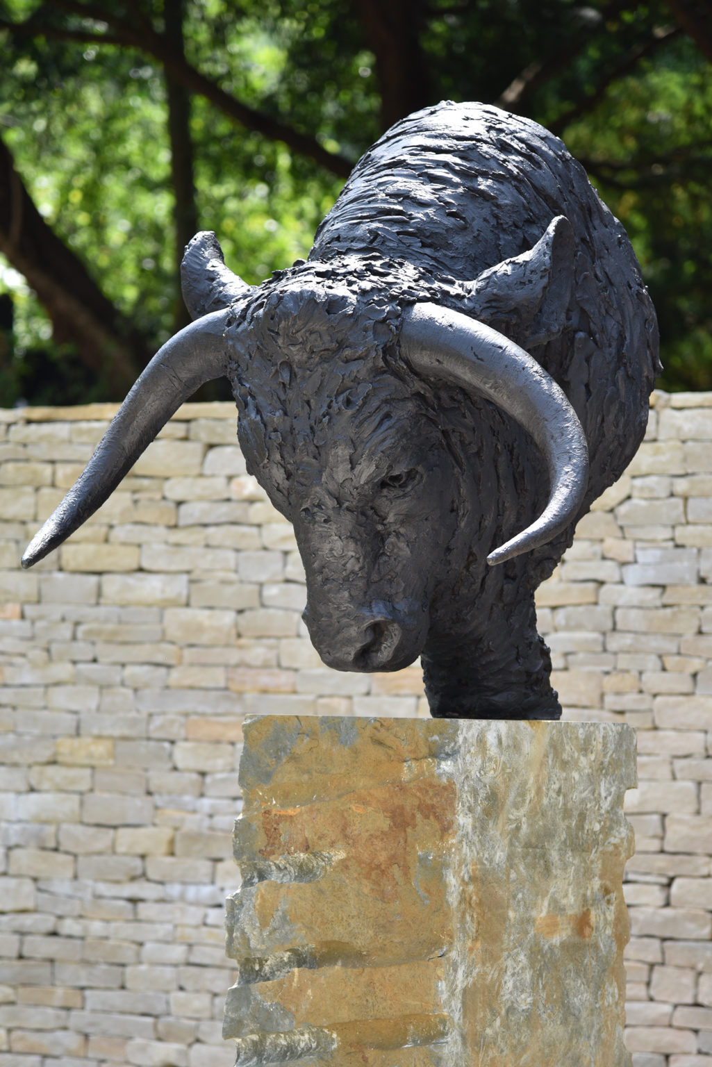 Hamish Mackie's bronze sculpture of Bull Head