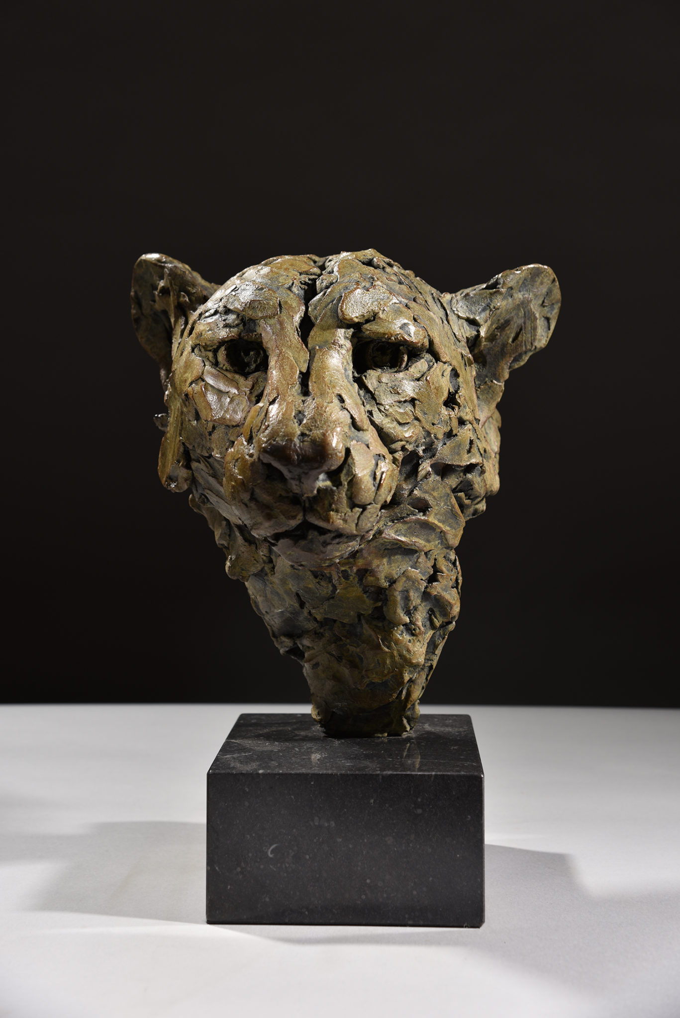 Cheetah Head sculpture in bronze by Hamish Mackie