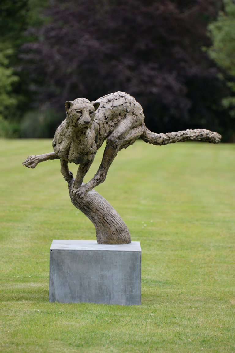 Hamish Mackie's life size bronze cheetah sculpture