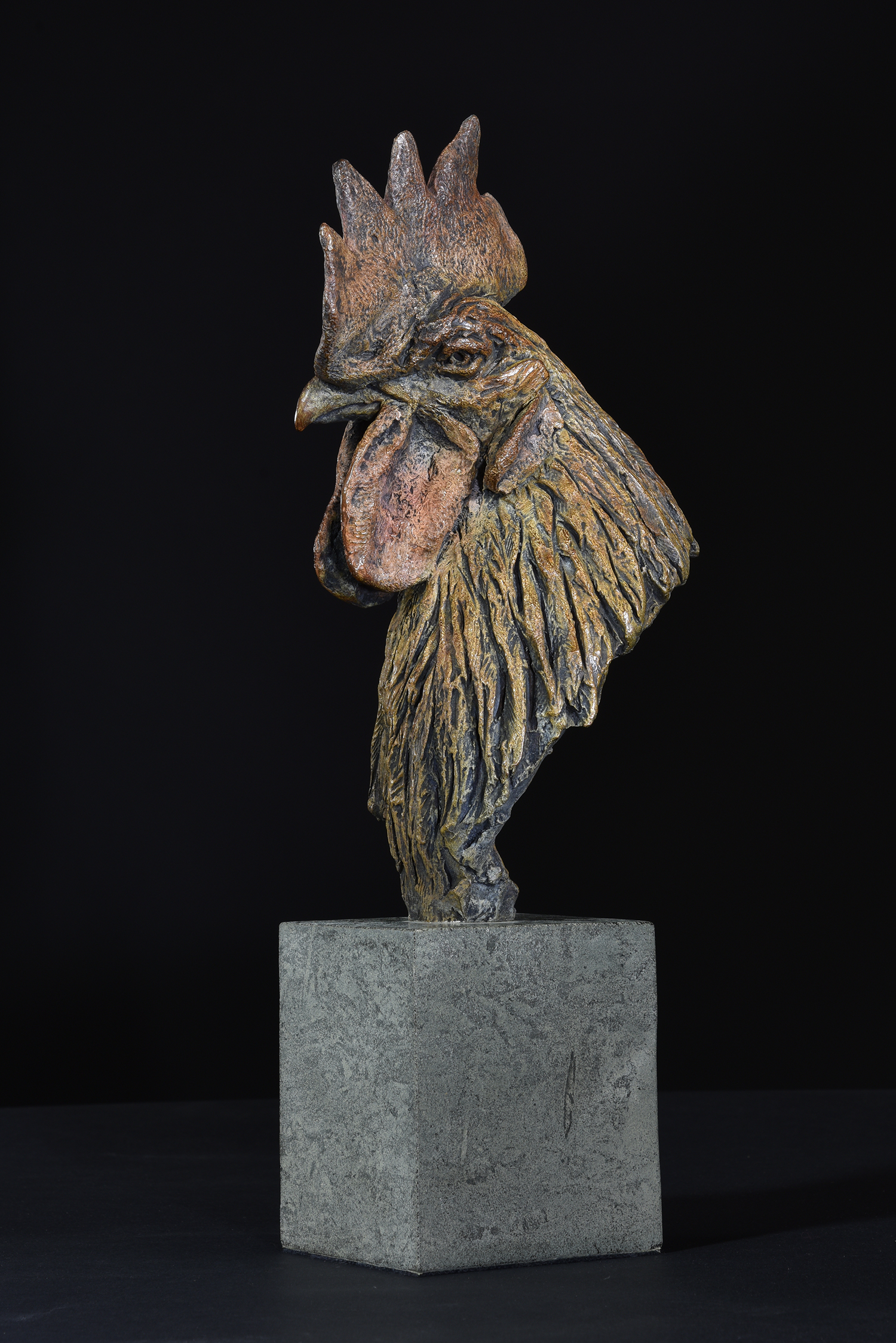 Bronze Chicken Head sculpture by Hamish Mackie