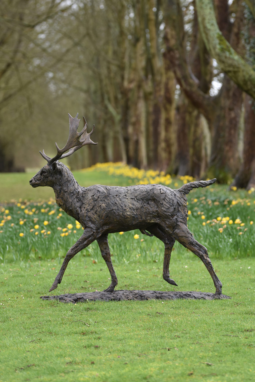Fallow Buck Running sculpture by Hamish Mackie