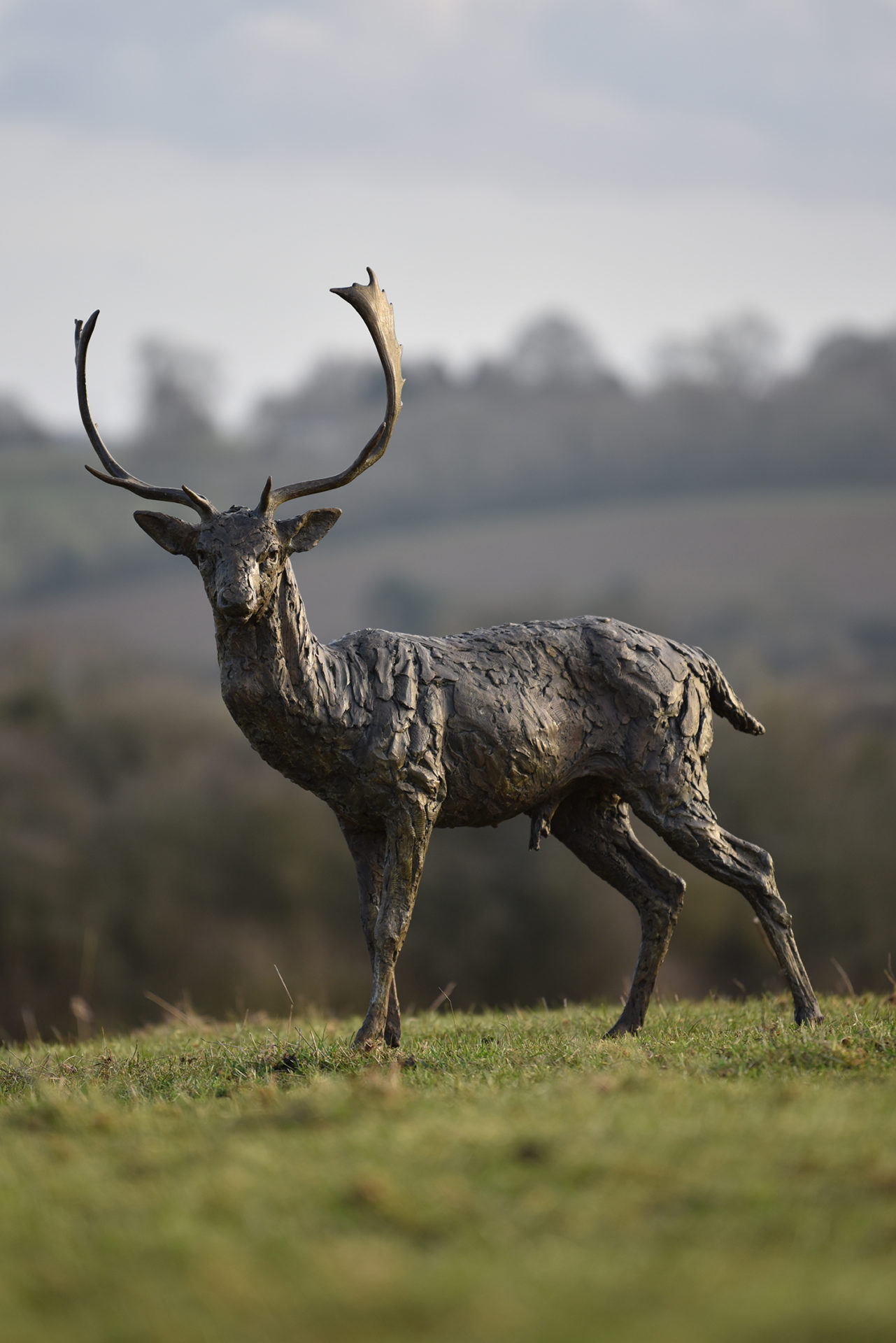 Bronze Fallow Buck sculpture by Hamish Mackie