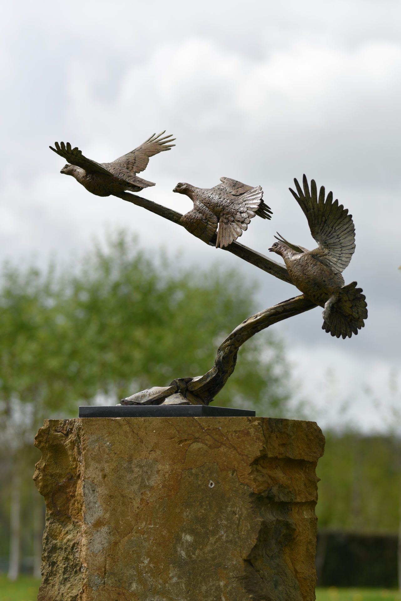Hamish Mackie bronze sculpture of Grouse Flushing