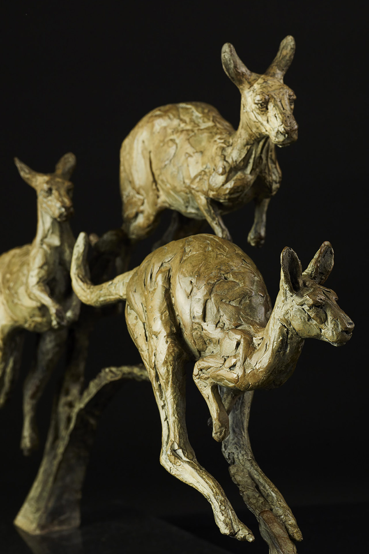 Bronze kangaroo sculpture by Hamish Mackie