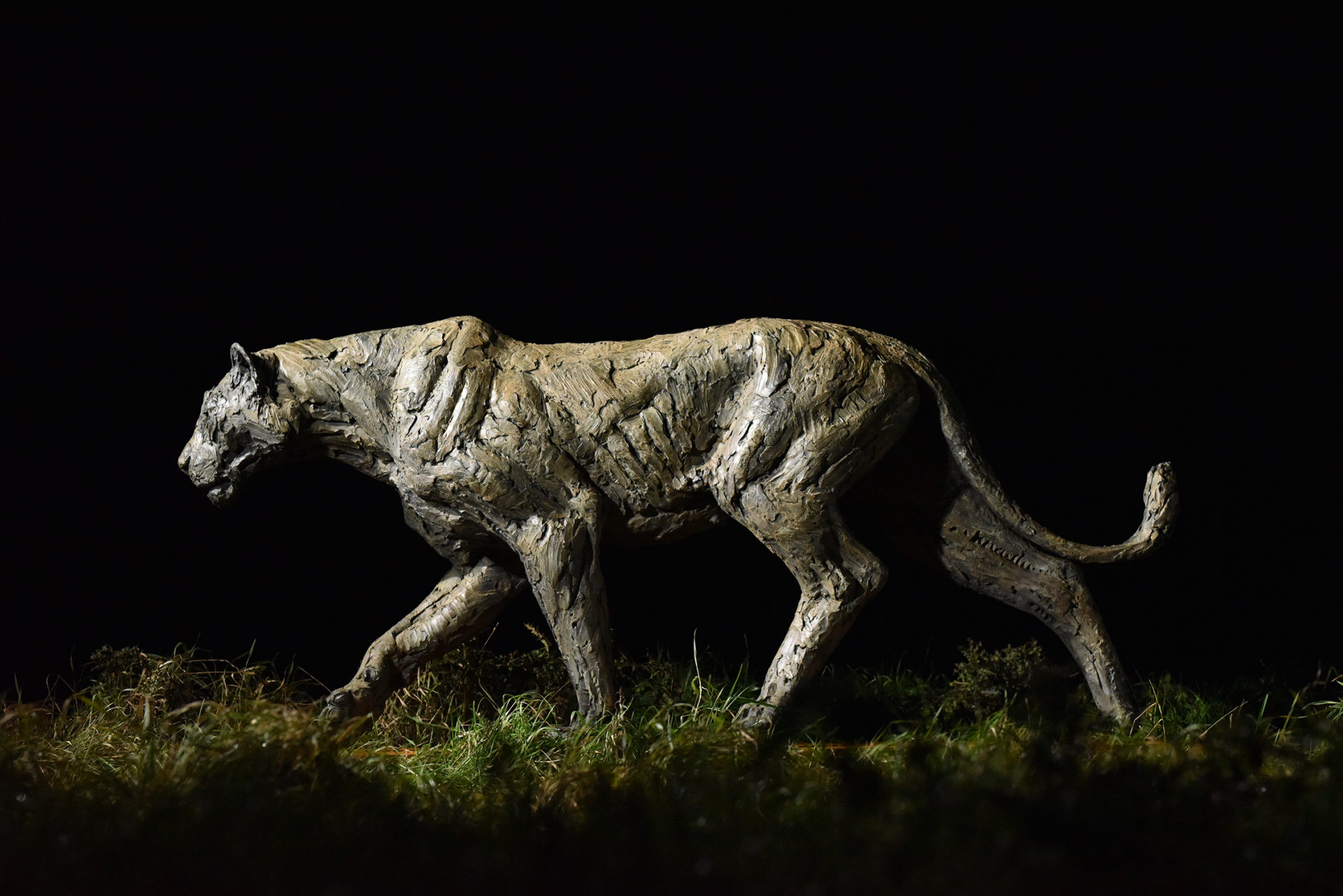 Bronze lioness life size sculpture by Hamish Mackie