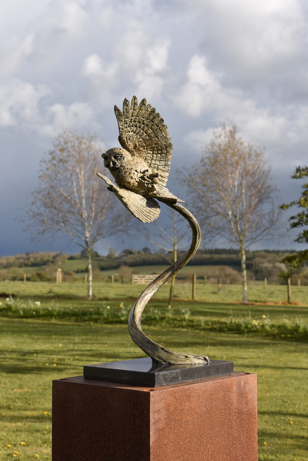 Little Owl Sculpture by Hamish Mackie