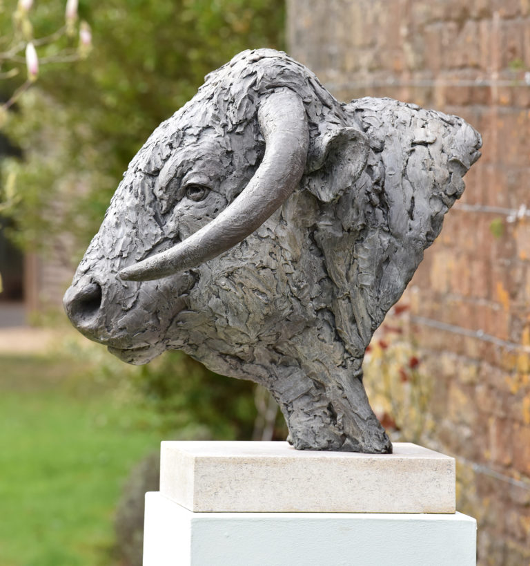 Hamish Mackie's bronze Longhorn Bull Head sculpture
