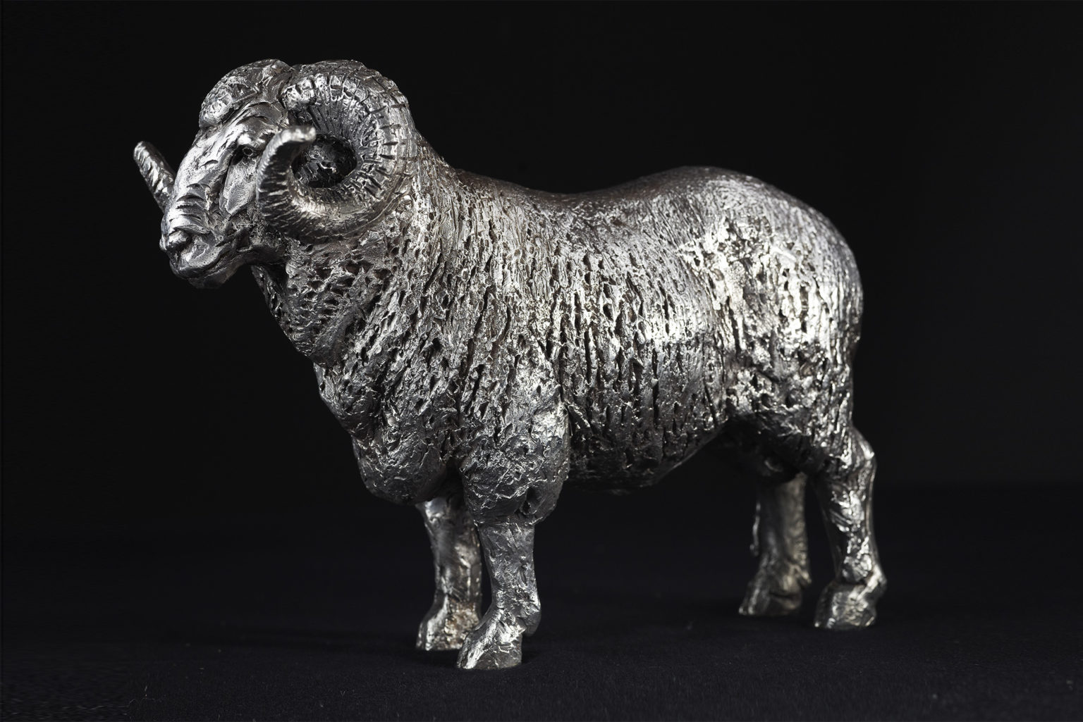 Bronze Merino Ram sculpture by Hamish Mackie