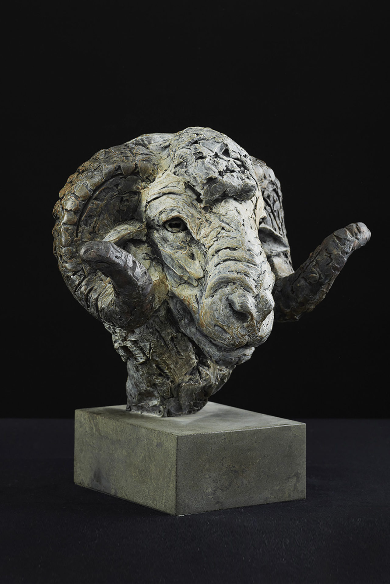 Bronze Merino Ram Head sculpture by Hamish Mackie