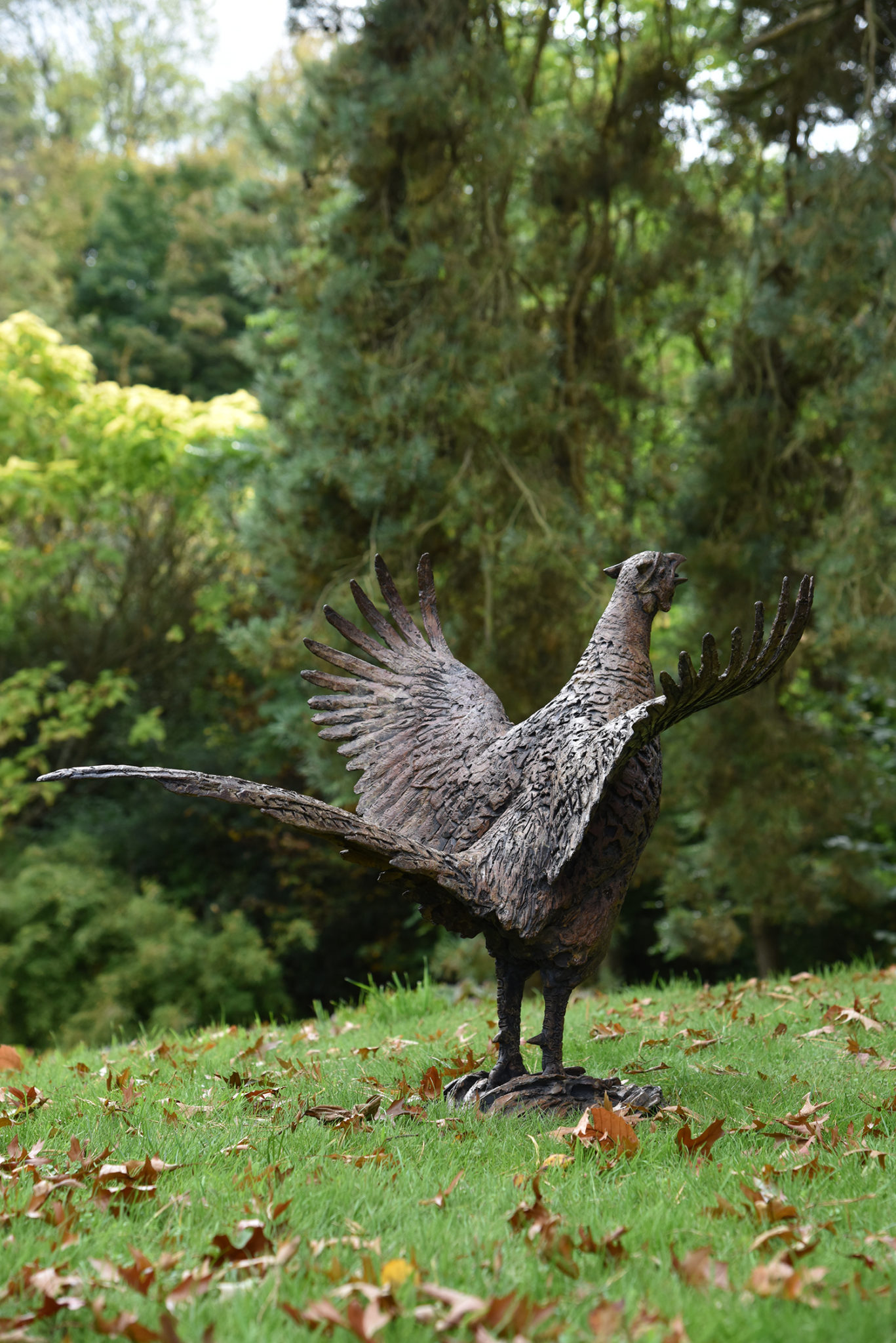 Bronze Pheasant sculpture by Hamish Mackie