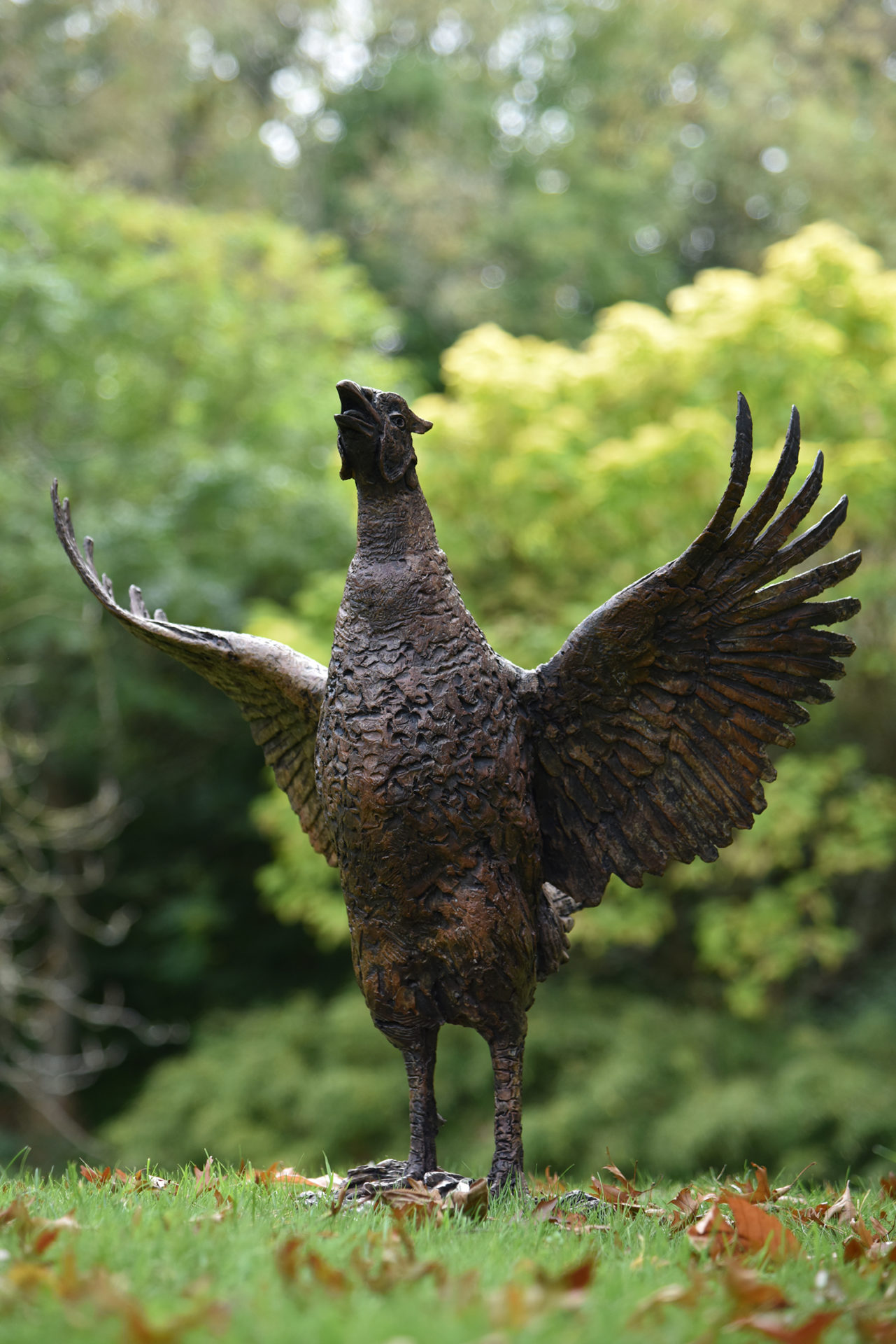 Bronze Pheasant sculpture by Hamish Mackie