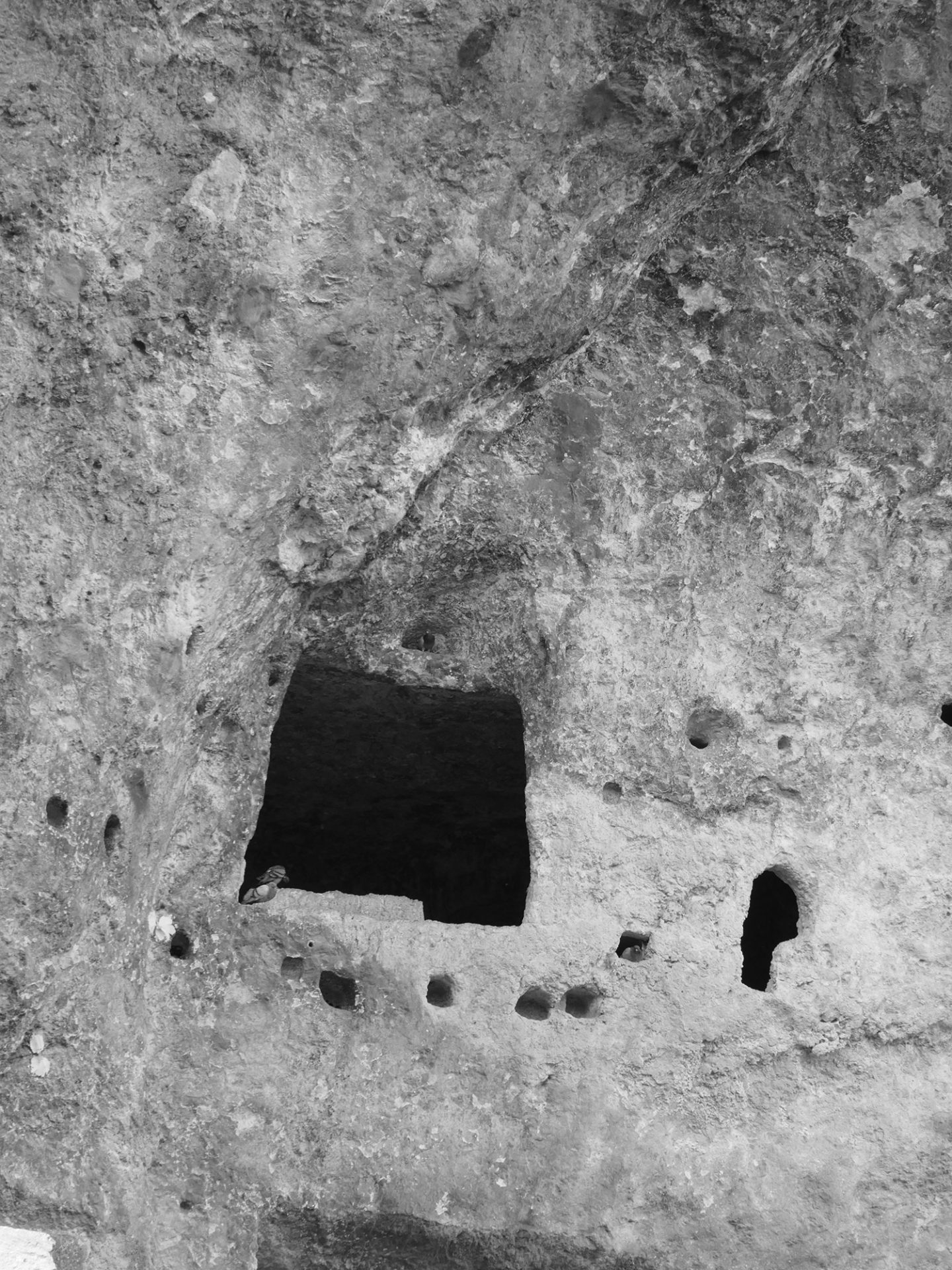 Primitive Horse Head sculpture by Hamish Mackie