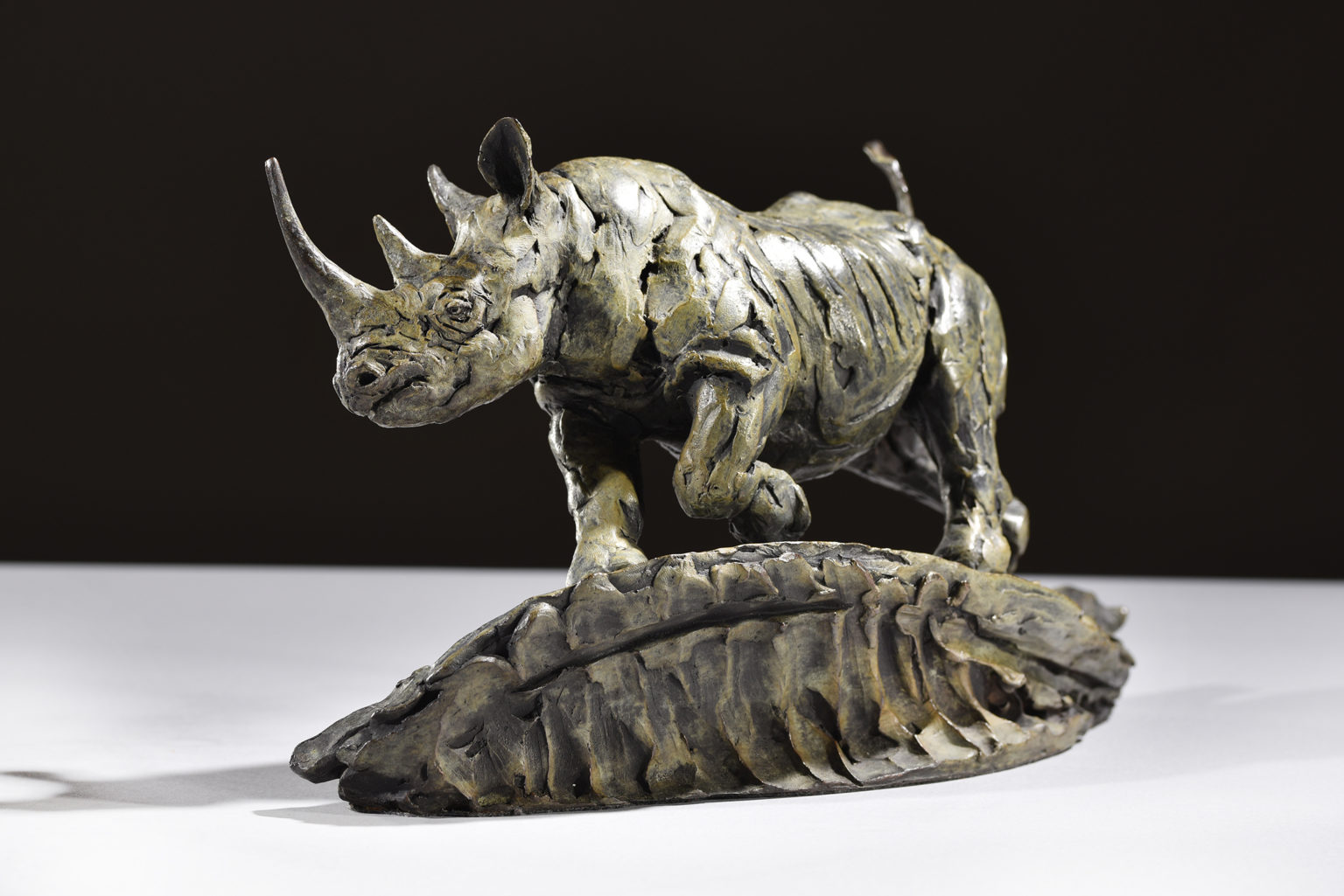Hamish Mackie's black rhino sculpture in bronze
