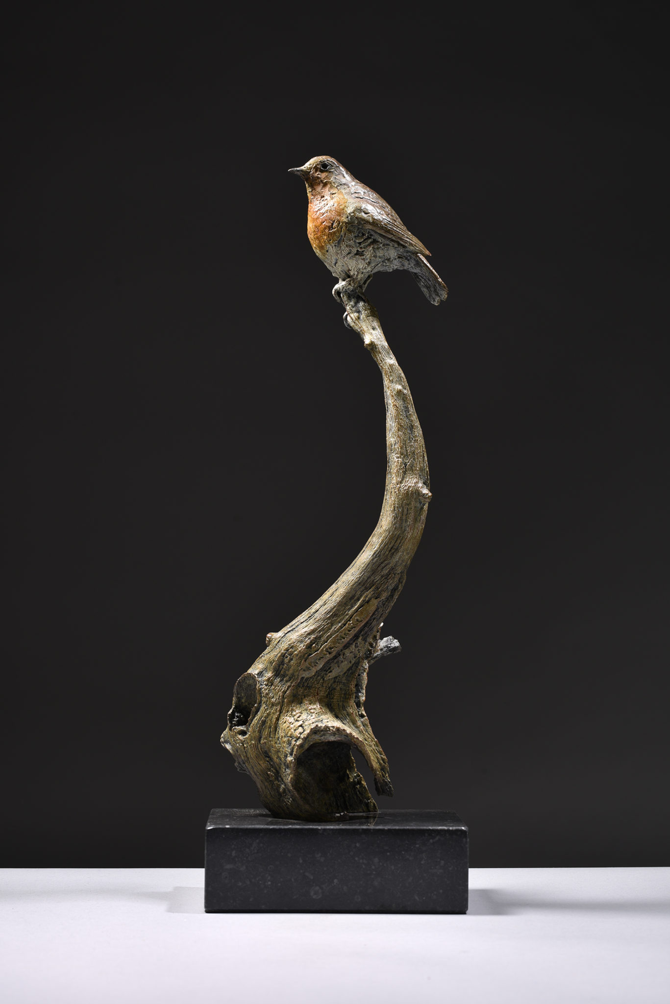 Robin sculpture in bronze by Hamish Mackie