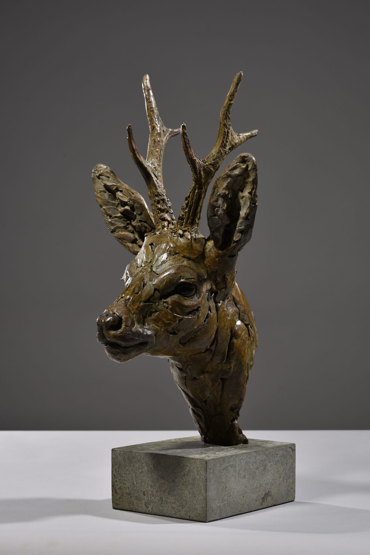 Roe Buck sculpture by Hamish Mackie