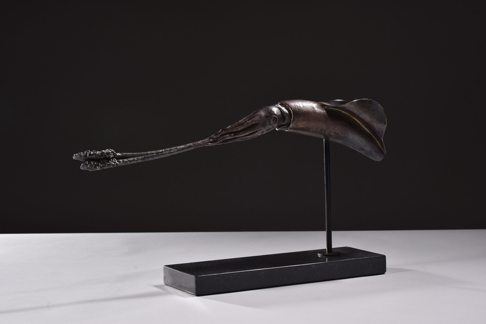 Bronze Squid Sculpture by Hamish Mackie