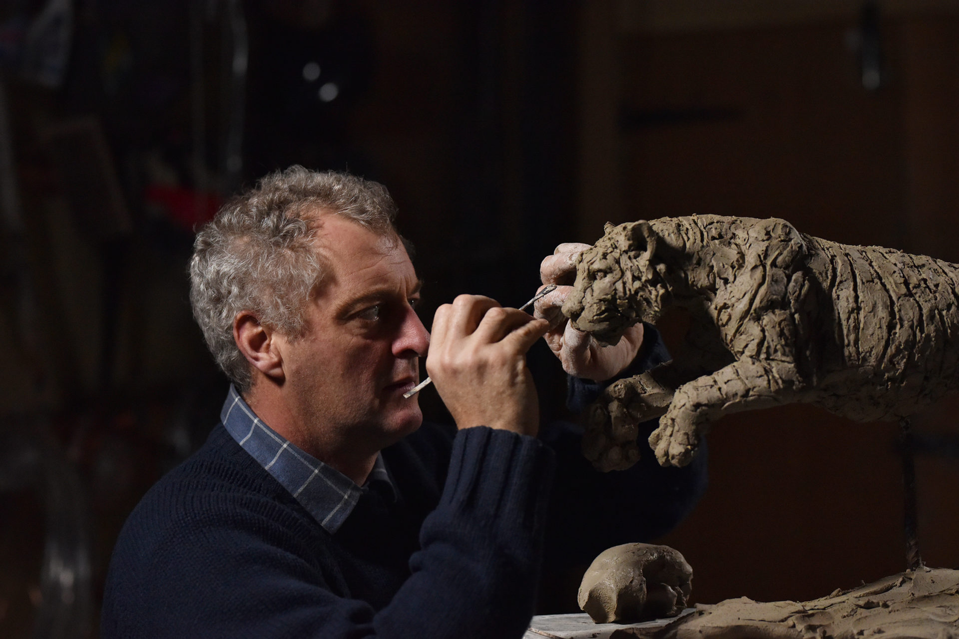 Bronze tiger sculpture by Hamish Mackie