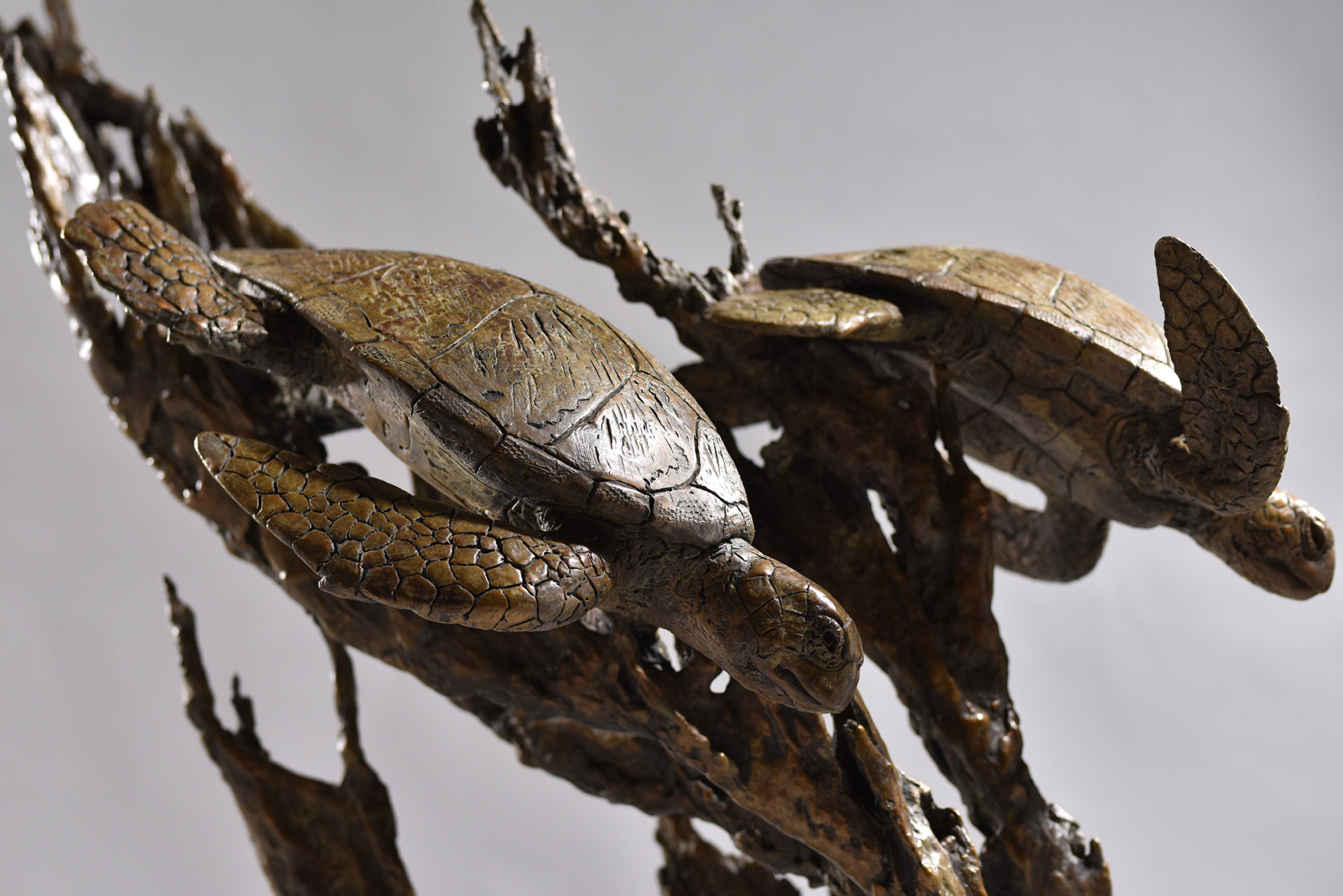 Bronze turtles sculpture by Hamish Mackie