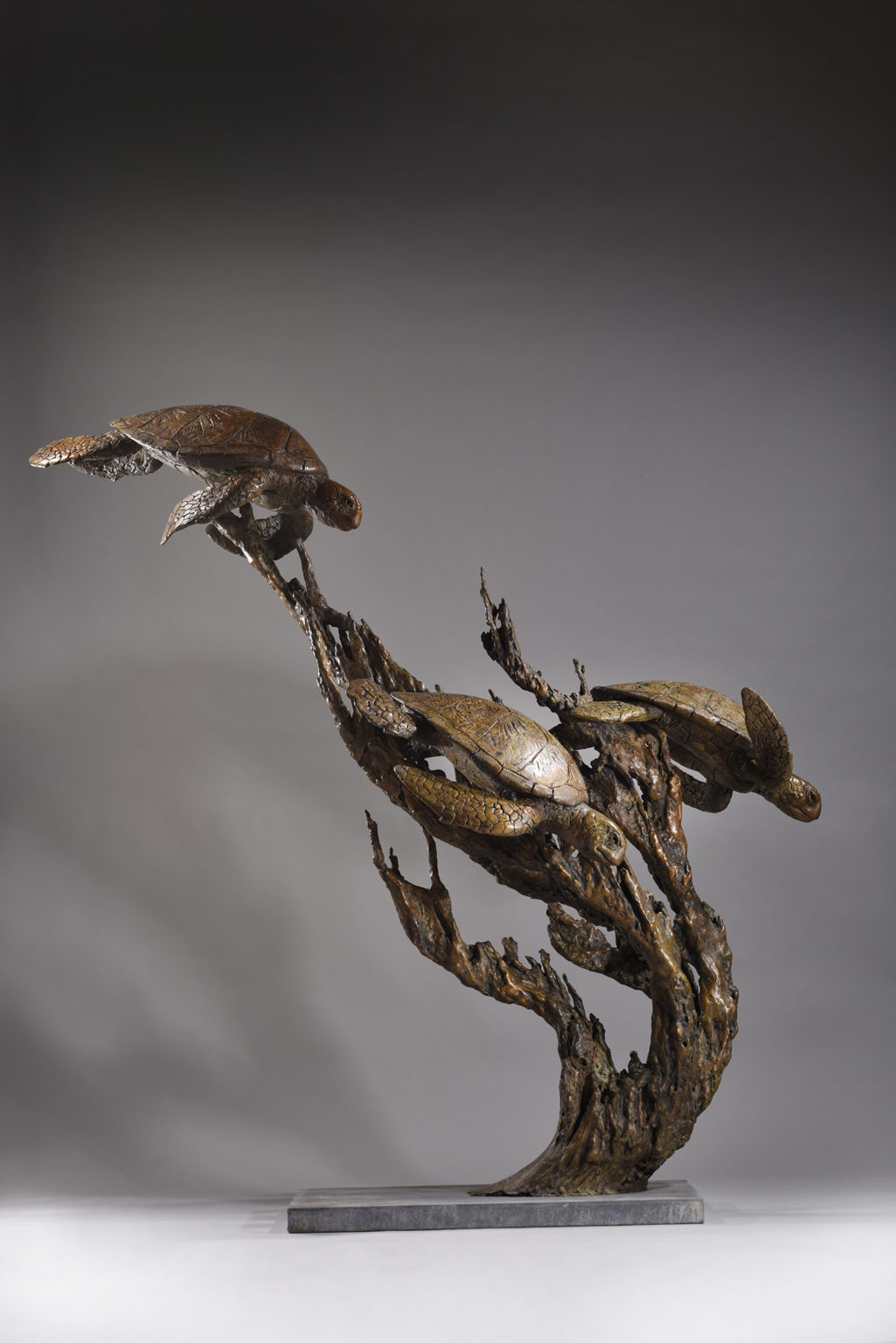 Turtles sculpture in stainless steel by Hamish Mackie