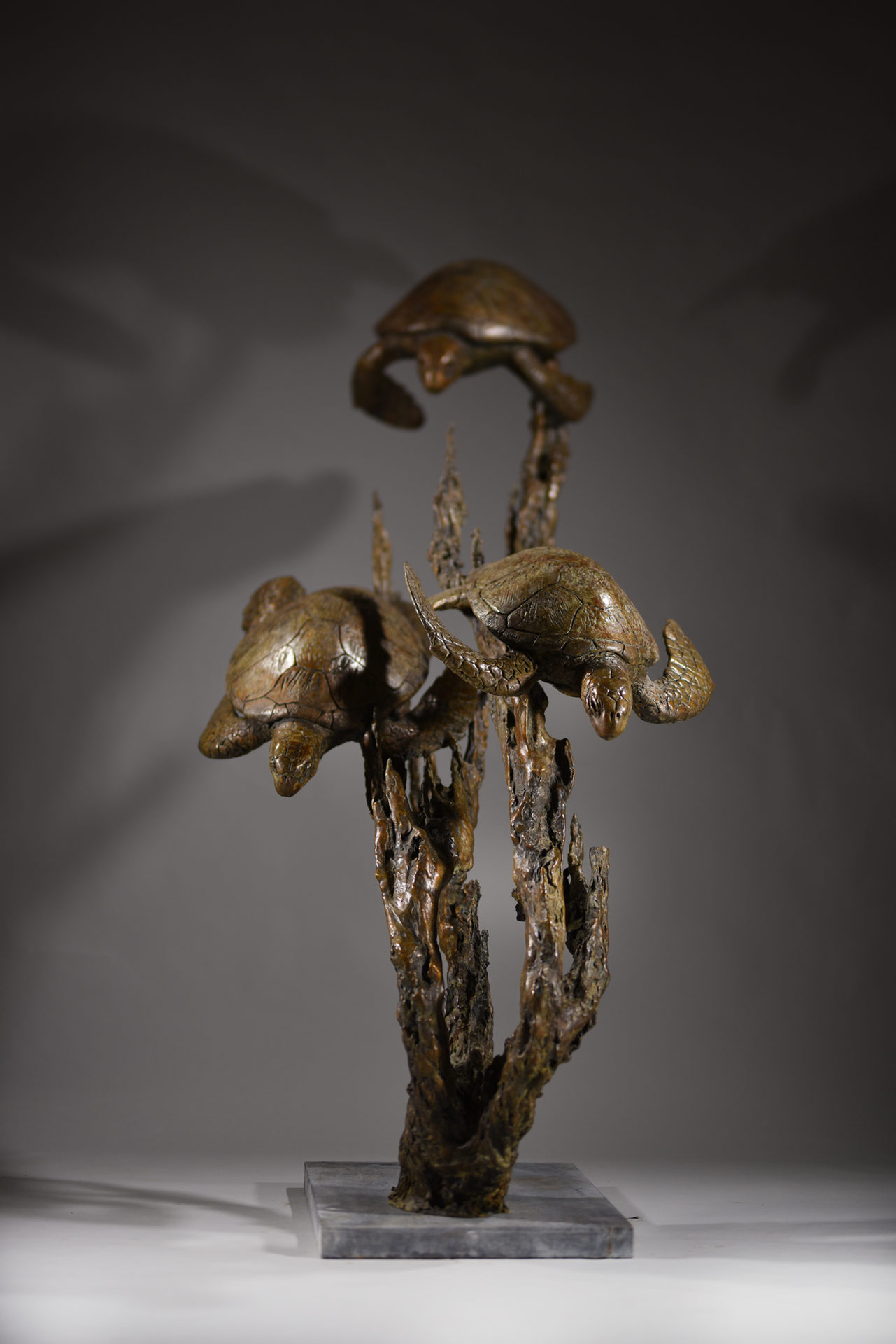 Bronze turtles sculpture by Hamish Mackie