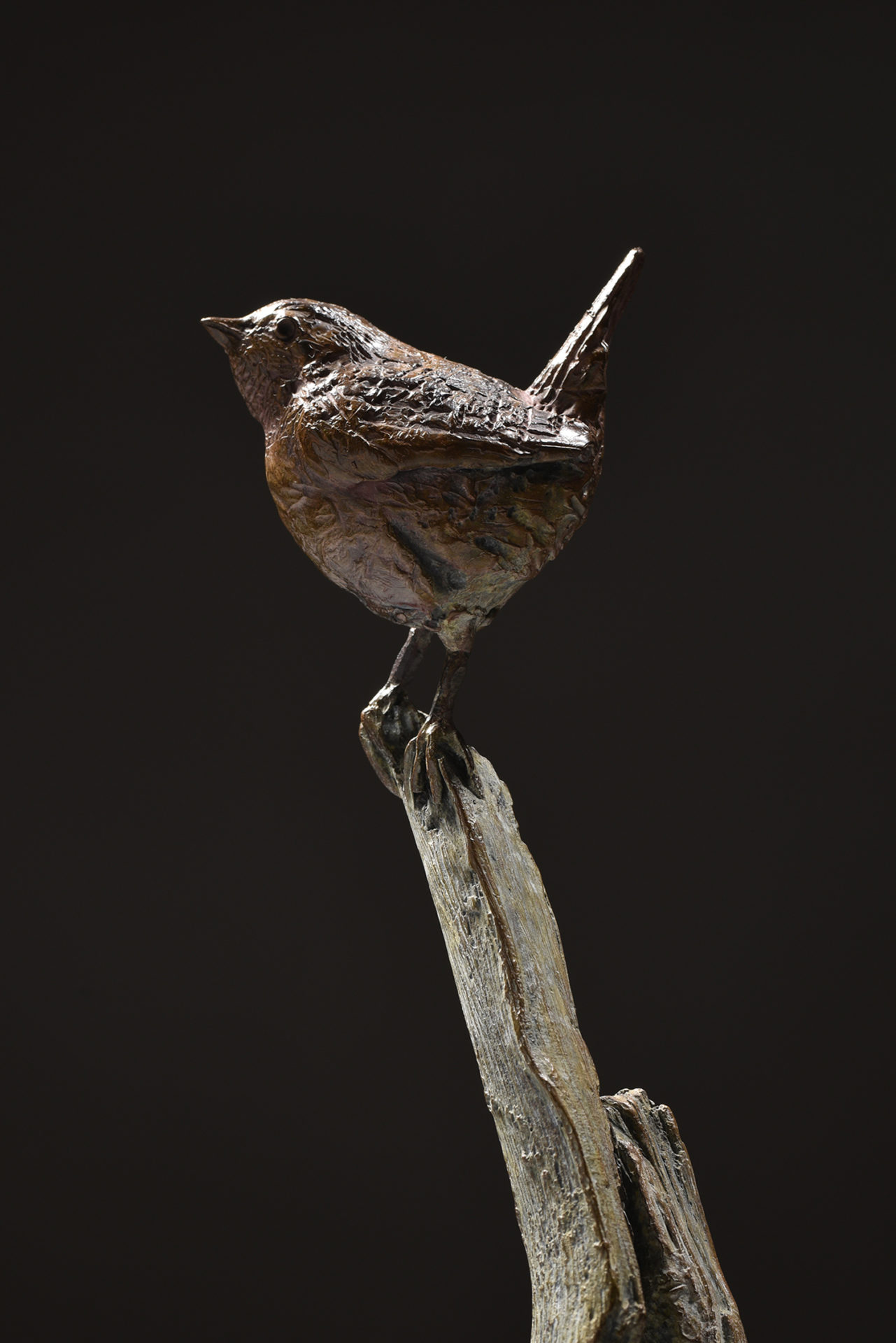 bronze wren sculpture by Hamish Mackie