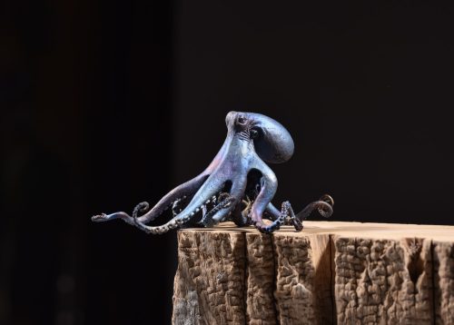 Hamish Mackie's Octopus Titanium sculpture Hamish Mackie's Octopus Titanium sculpture