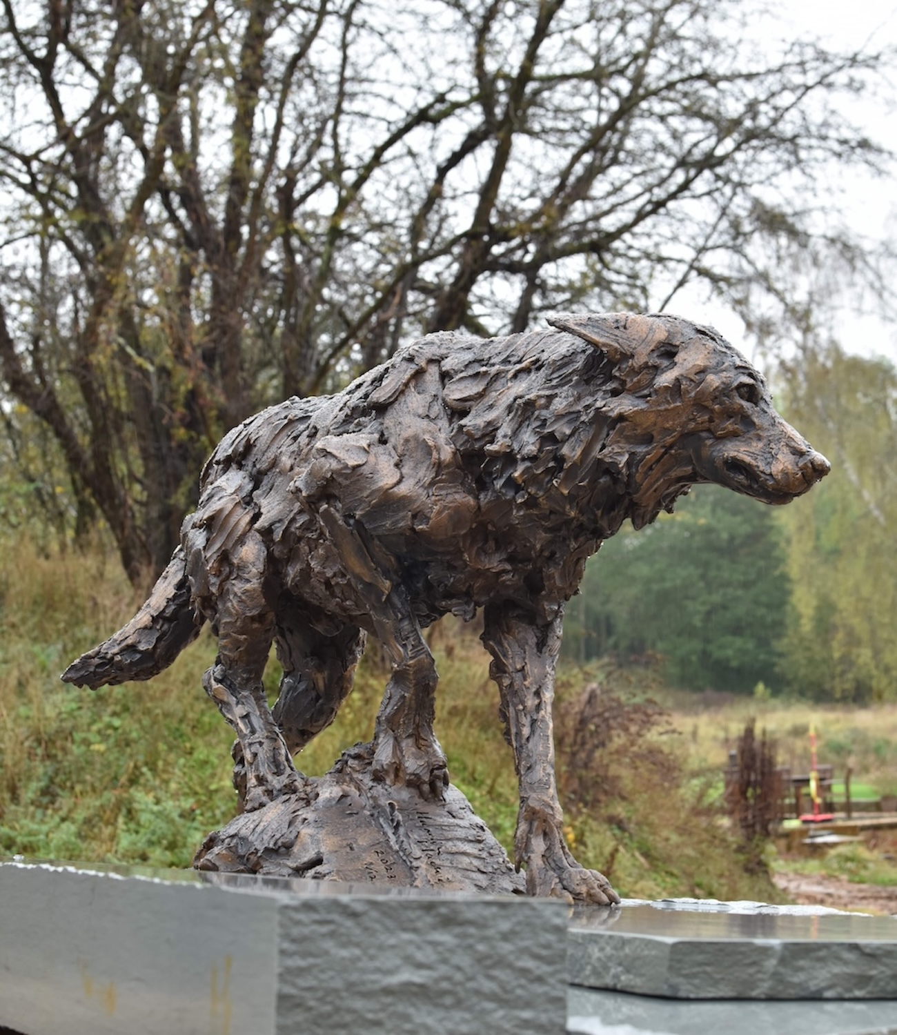 Hamish Mackie's Wolf Life Size on a Mound - 2023