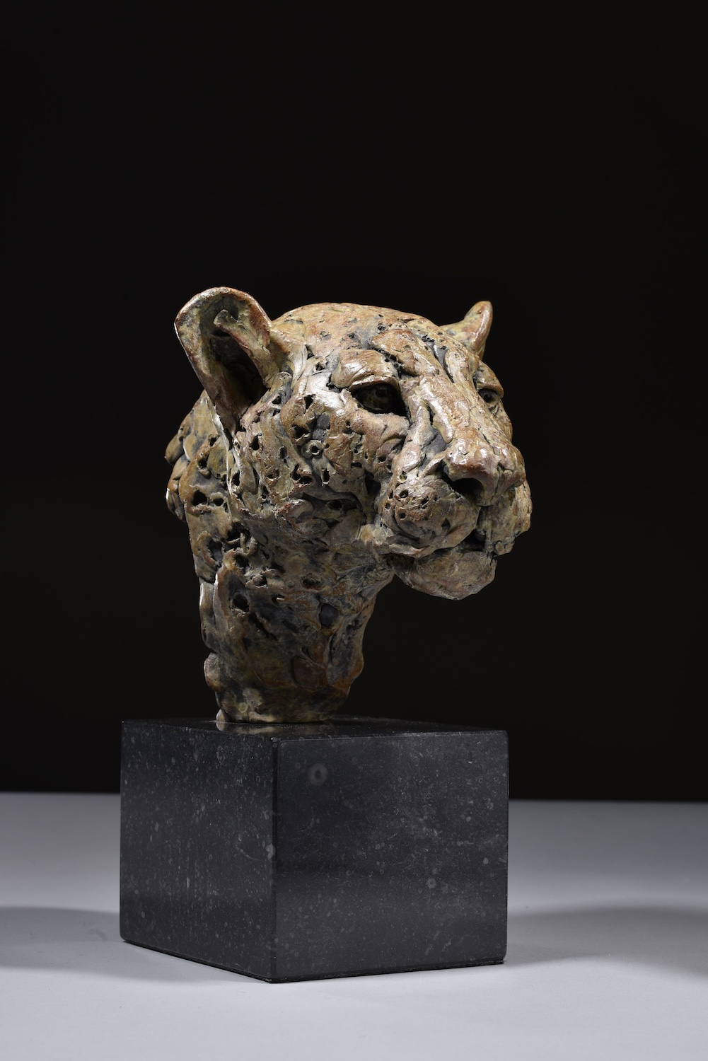 Leopard Head Study - 2023