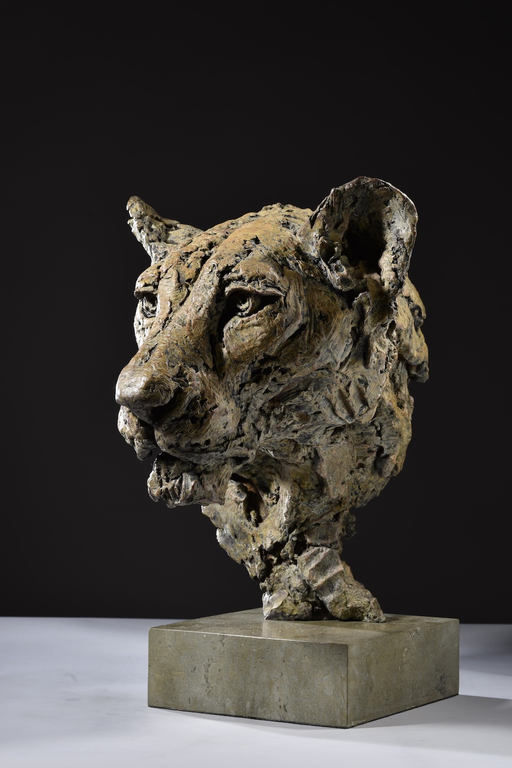 Lioness Head Life Size - 2023 sculpture by Hamish Mackie