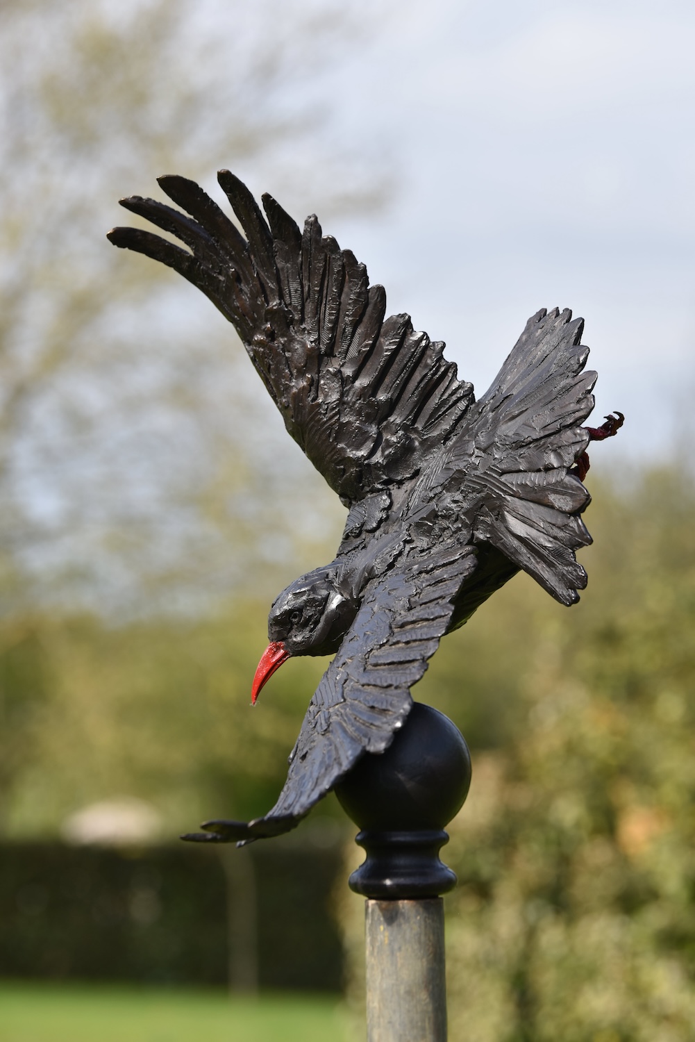 Bronze Chough sculpture by Hamish Mackie