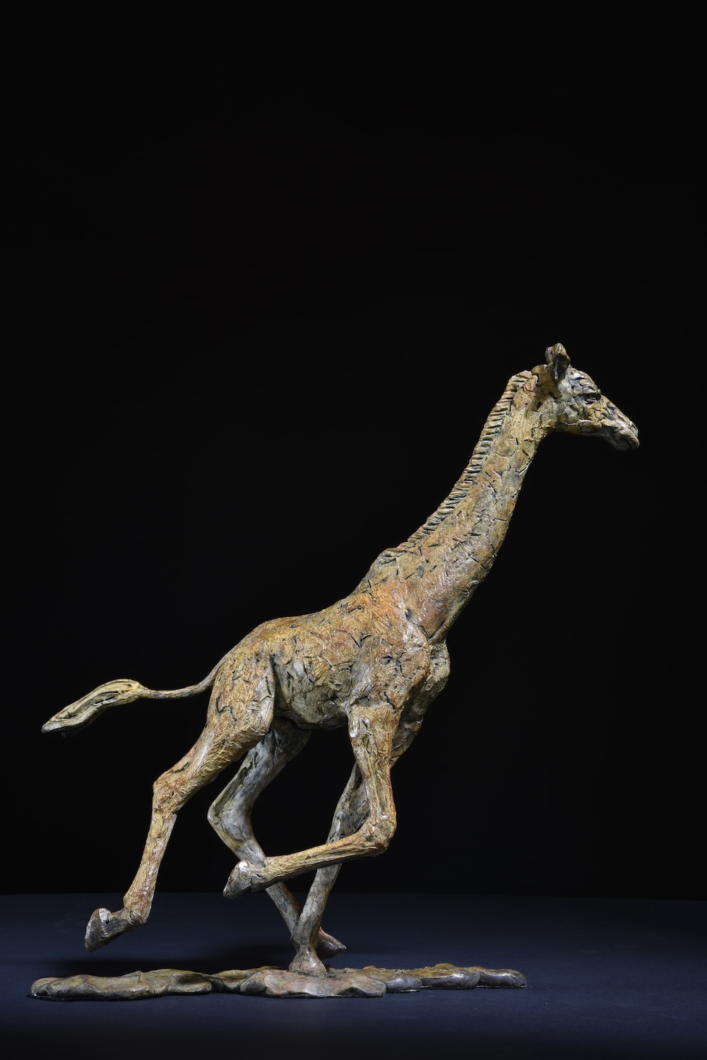 Bronze Giraffe Female sculpture by Hamish Mackie
