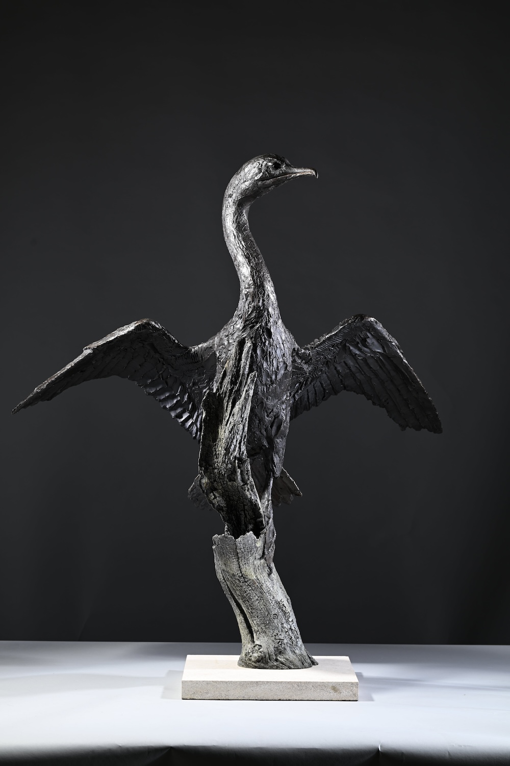 Hamish Mackie's Cormorant sculpture