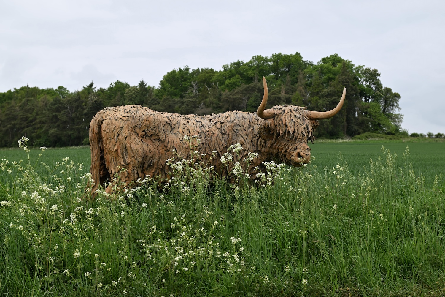 Hamish Mackie's Highland Cow sculpture