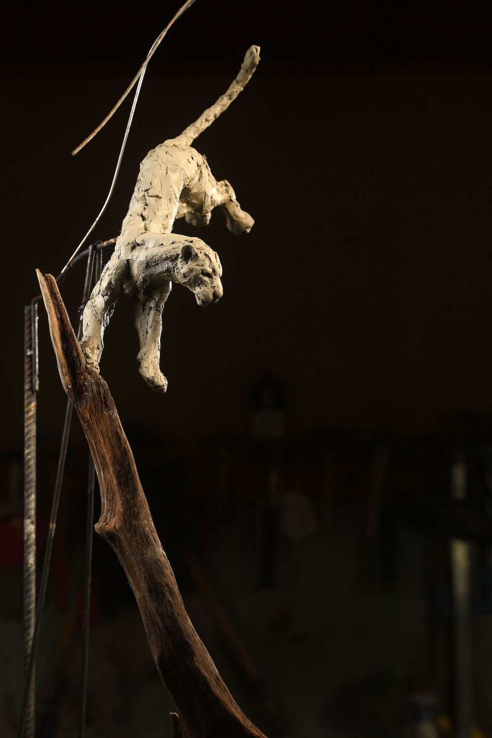 Bronze sculpture of Leopard Jumping Out of a Tree - 2025